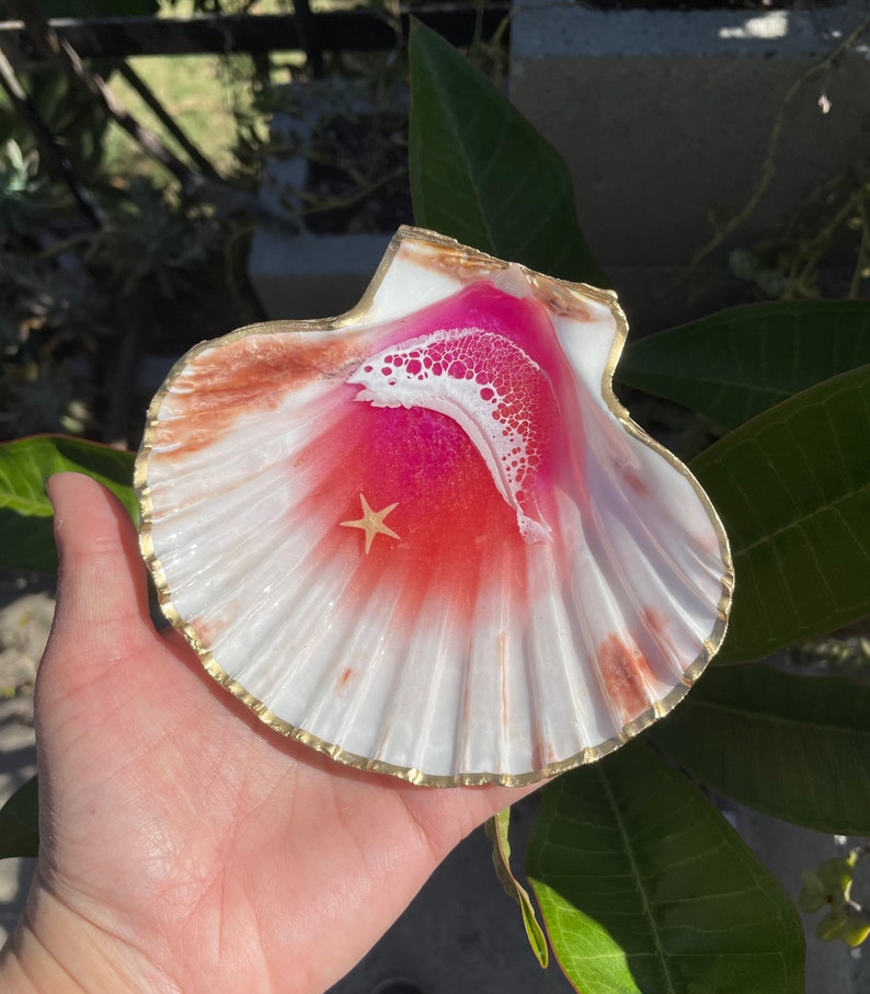 Real Seashell Beach Scene Jewelry Dish With Ocean Waves - Etsy