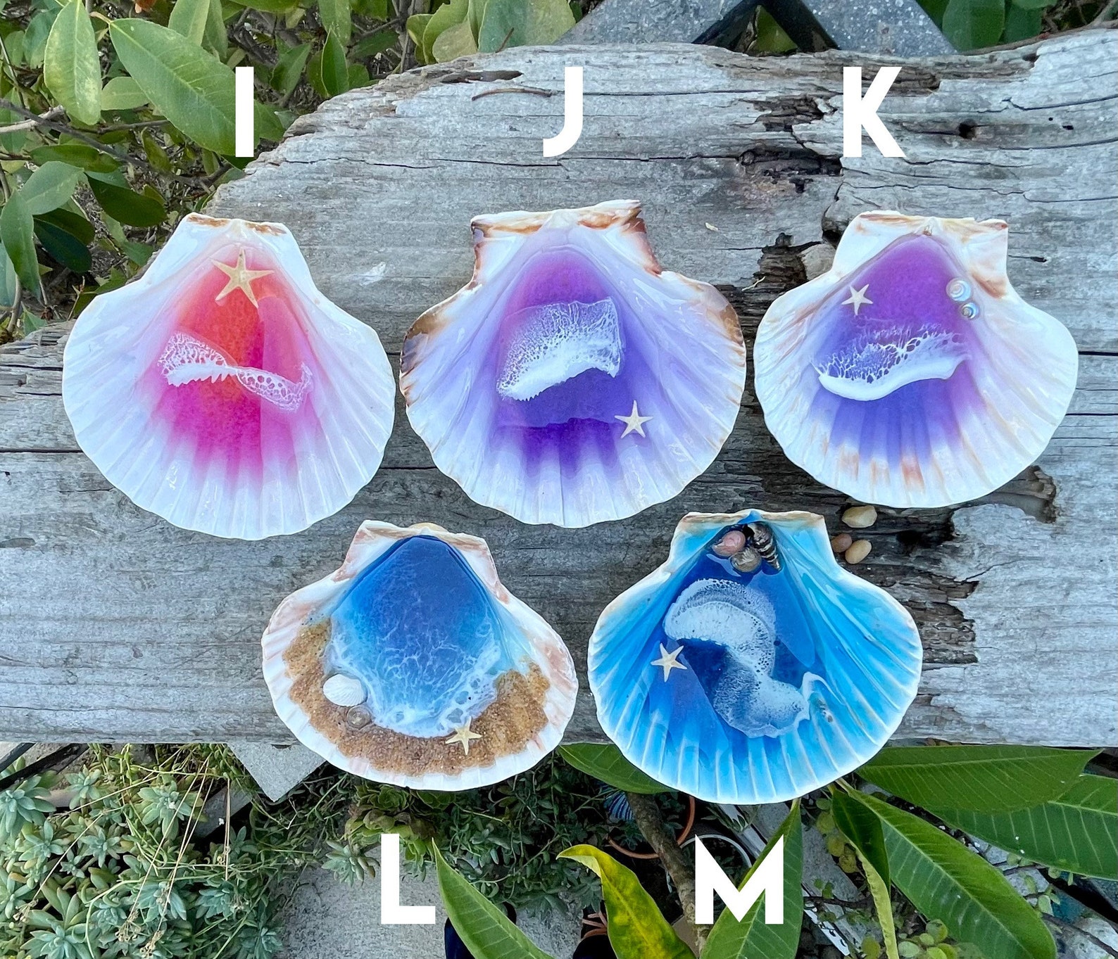 Real Seashell Beach Scene Jewelry Dish With Ocean Waves | Etsy