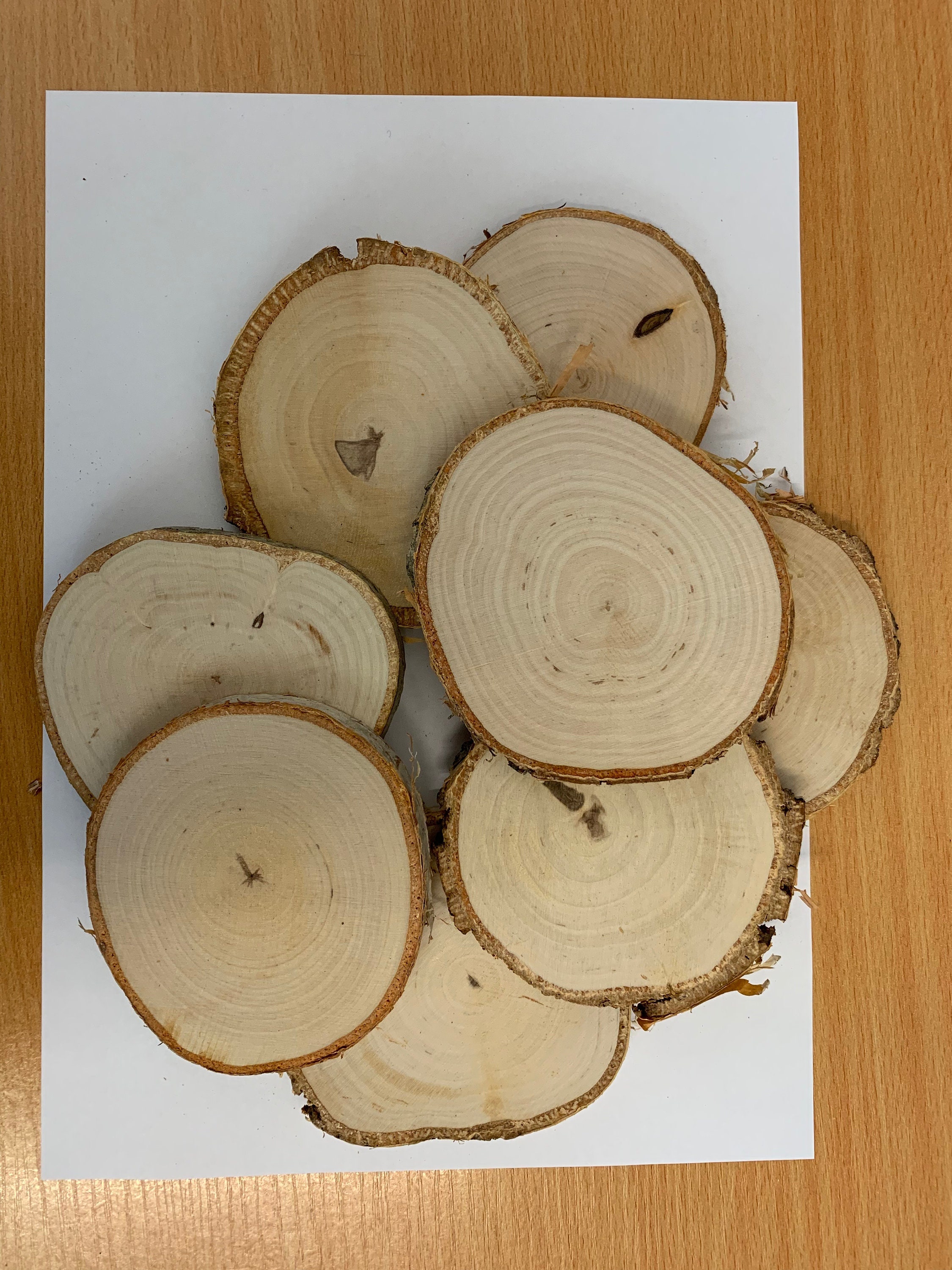 Pack of 50 Sanded Plain Round Wooden Tree Log Slices & | Etsy