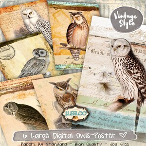OWLS POSTER 6 Printable Digital Papers - Instant Download for Scrapbook ...