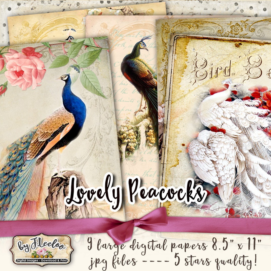 GORGEOUS PEACOCKS 8.5x11 Inch Large Digital Peacock Papers Scrapbook ...