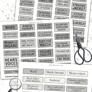 LABELED INSANE – 30 Vintage Mental Health Vintage Asylum Labels for ...