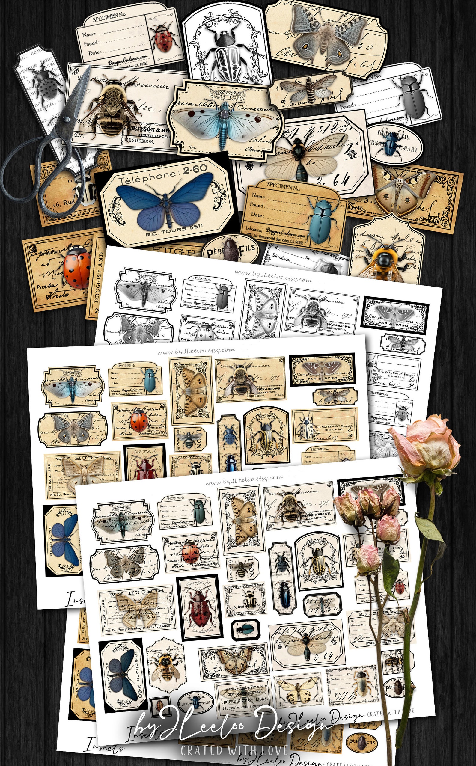 INSECTS Entomology Labels Kit Printable Vintage Ephemera Butterfly ...