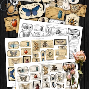 INSECTS Entomology Labels Kit Printable Vintage Ephemera Butterfly ...