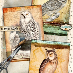 OWLS POSTER 6 Printable Digital Papers - Instant Download for Scrapbook ...