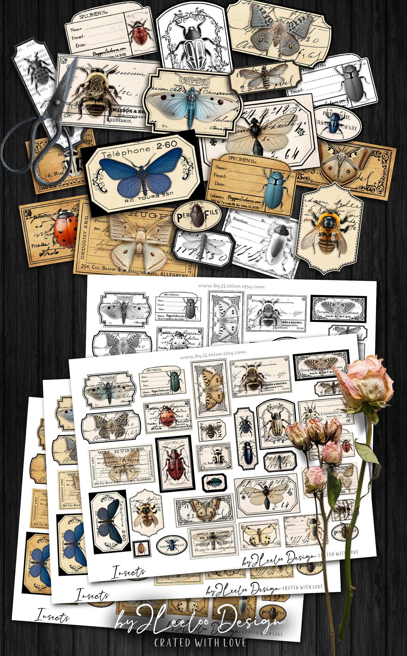 INSECTS Entomology Labels Kit Printable Vintage Ephemera Butterfly ...