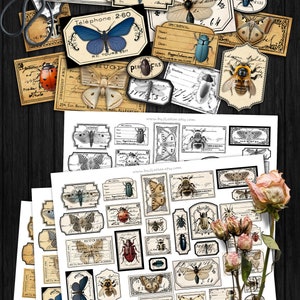 INSECTS Entomology Labels Kit Printable Vintage Ephemera Butterfly ...