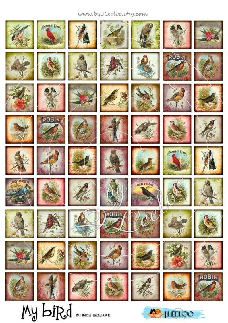 Digital Printable Sheet MY BIRDS 1x1 Inch Square Mirrors Paper | Etsy