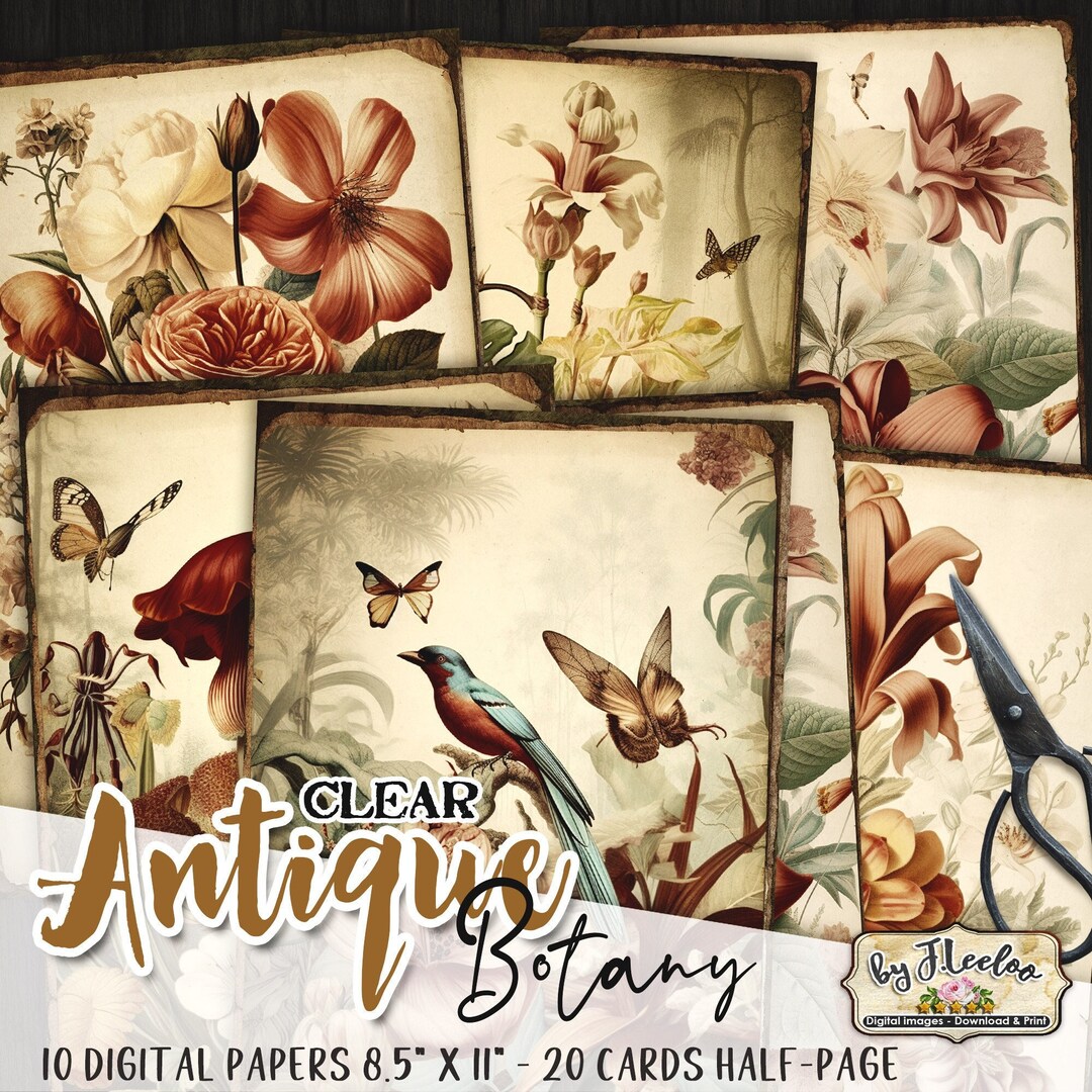 Clear ANTIQUE BOTANY Journal Pages | Botanical Scrapbook Supplies Junk ...