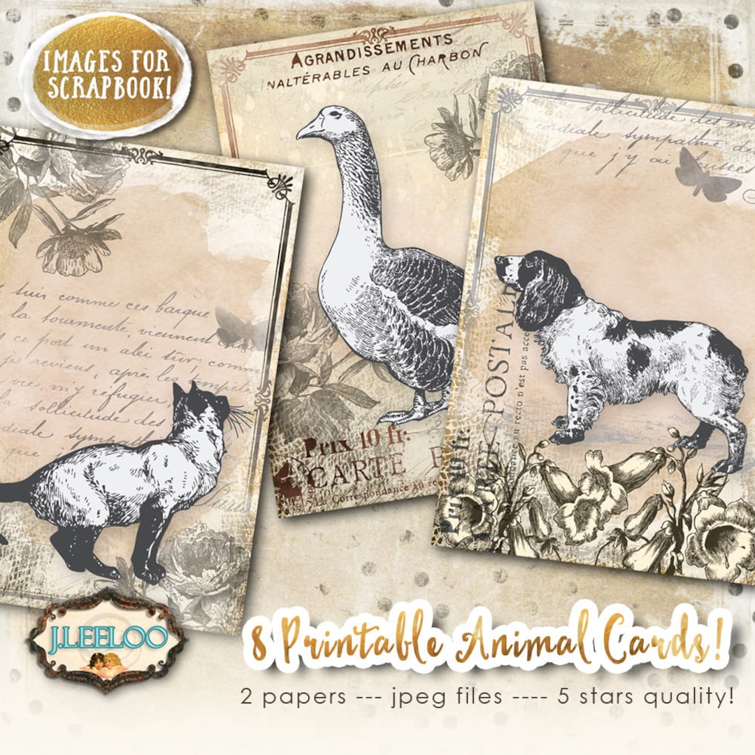 ANIMAL CARDS Digital Graphics Tattered Digital Collage Sheet Instant ...