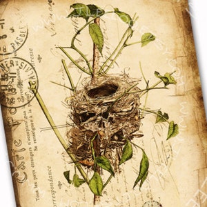 YOU ARE My NEST 5 Digital Collage Sheet Digital Graphics Vintage Papers ...