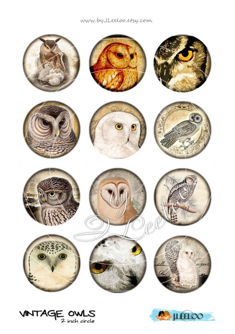 Digital Paper VINTAGE OWL 2 Inch Circle Digital Images Bird Wings ...