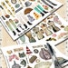 Articulated PAPER DOLL Digital Altered Art Digital Collage Sheet for ...