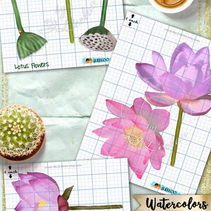 Digital Watercolors Clipart LOTUS FLOWERS Png Jpg for Scrapbooking ...