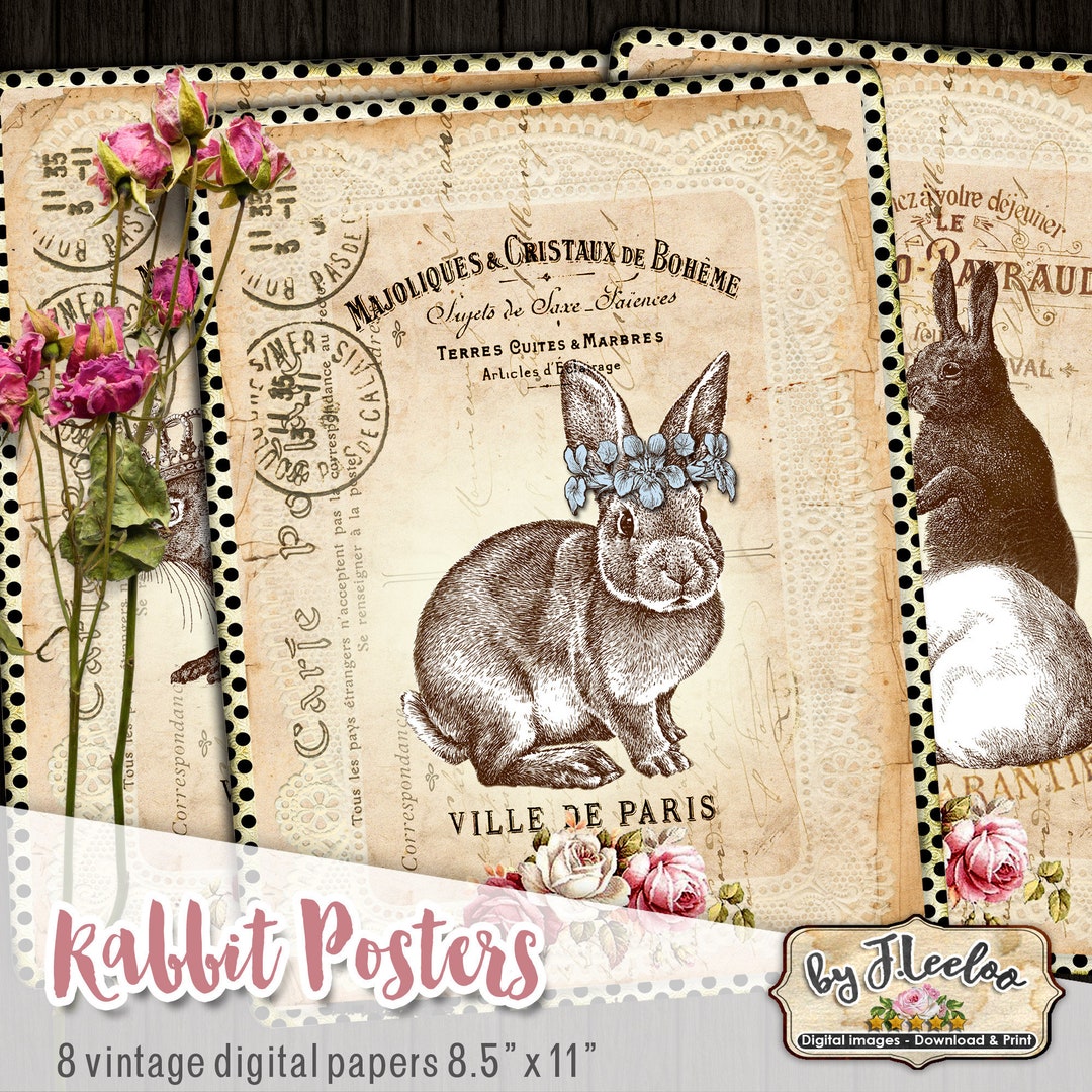RABBIT POSTER Vintage 8.5x11 Inch Wall Decor Journal Background ...