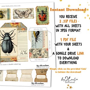 INSECT POCKET TAGS Kit With Backgrounds – Vintage Entomology Ephemera ...