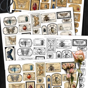 INSECTS Entomology Labels Kit Printable Vintage Ephemera Butterfly ...