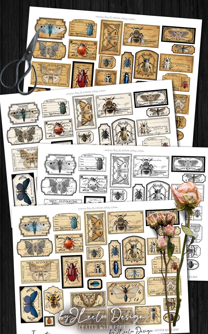 INSECTS Entomology Labels Kit Printable Vintage Ephemera - Etsy