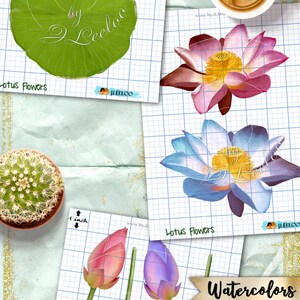 Digital Watercolors Clipart LOTUS FLOWERS Png Jpg for Scrapbooking ...