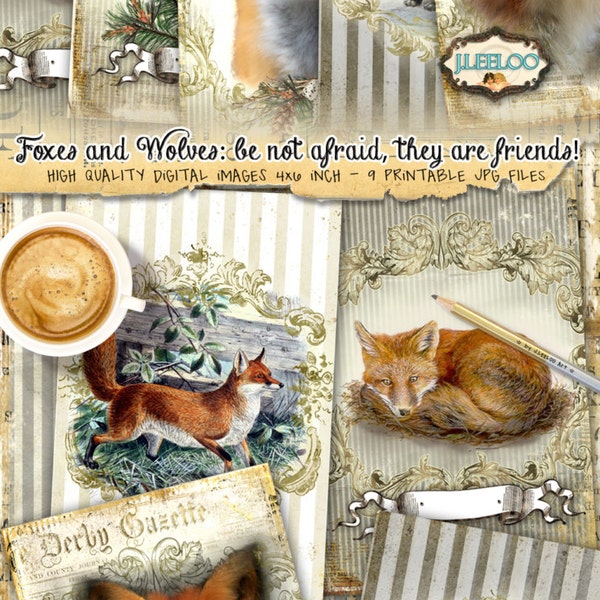 Fox Postcard - Etsy