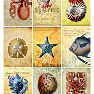 SEA LIFE 2 Printable Cards Sea Animal Nature Greeting Collage Atc Aceo ...