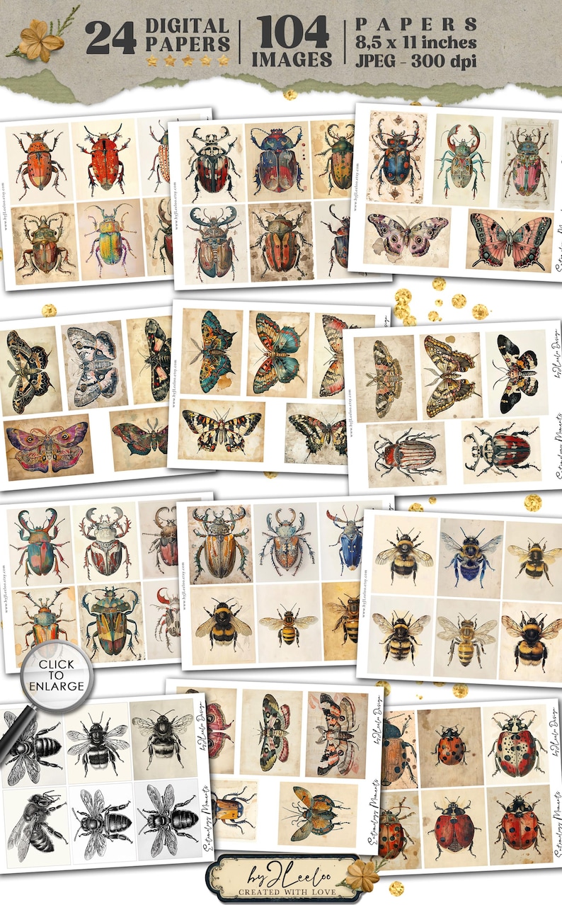 ENTOMOLOGY MOMENTS Vintage Cards | Old Naturalistic Papers Junk Journal ...