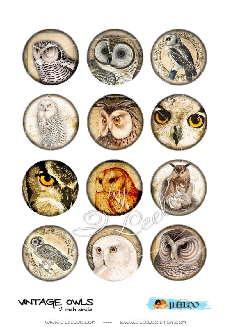 Digital Paper VINTAGE OWL 2 Inch Circle Digital Images Bird - Etsy