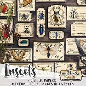 INSECTS Entomology Labels Kit Printable Vintage Ephemera Butterfly ...
