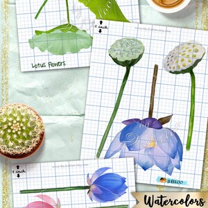 Digital Watercolors Clipart LOTUS FLOWERS Png Jpg for Scrapbooking ...