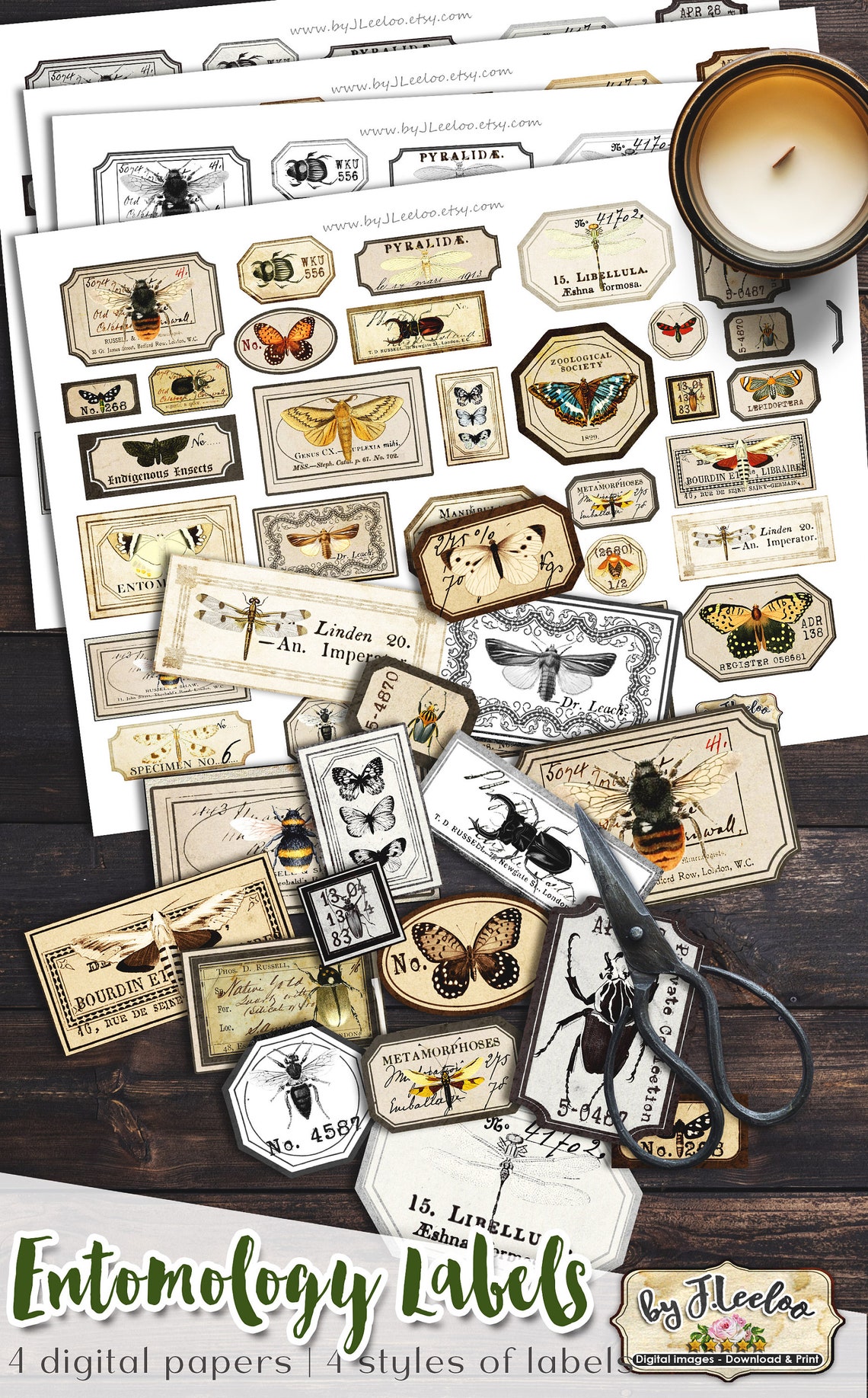 ENTOMOLOGY Labels Kit Printable Vintage Ephemera Butterfly - Etsy Australia