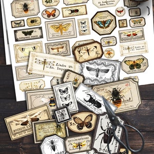 ENTOMOLOGY Labels Kit Printable Vintage Ephemera Butterfly Insect Junk ...