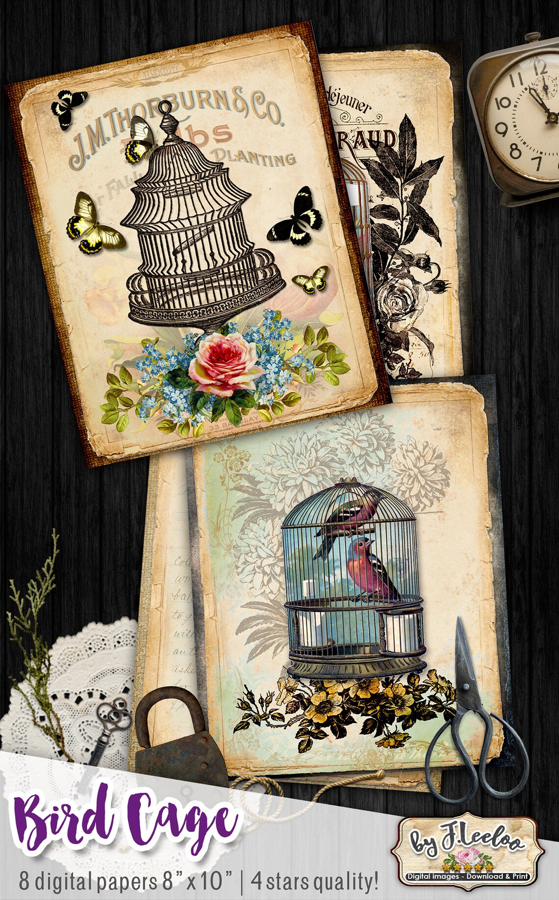 BIRD CAGE Digital Papers 8x10 Inch Large Victorian Vintage - Etsy