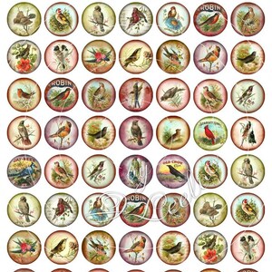 Digital Printable Sheet MY BIRD 1 Inch Circle Old Book Images for Hang ...
