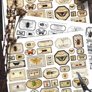 ENTOMOLOGY Labels Kit Printable Vintage Ephemera Butterfly Insect Junk ...
