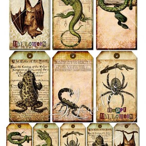 CREATURES Label Tags Jewelry Holder Halloween Bat Frog Reptiles for ...
