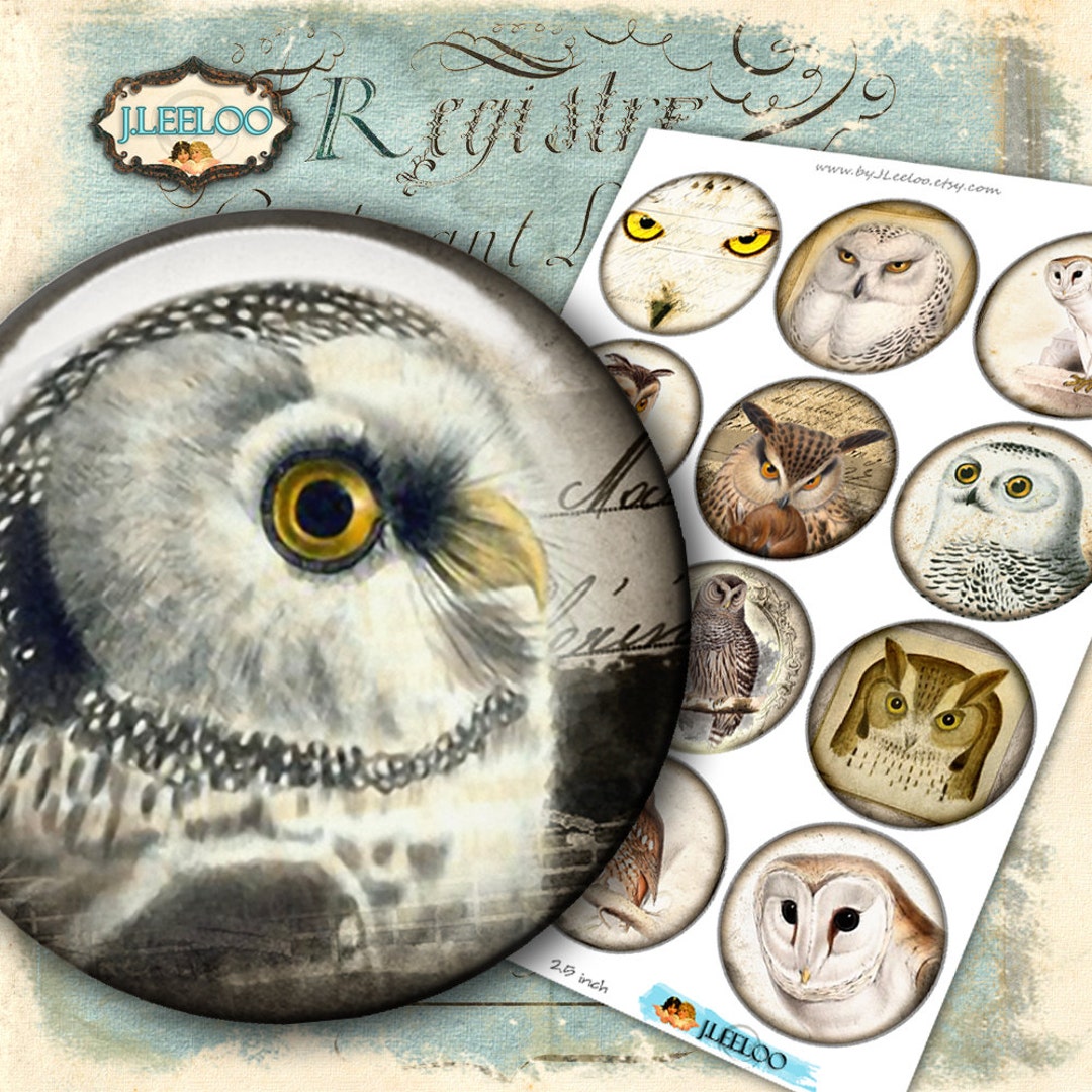 VINTAGE OWL 2.5 Inch Round Digital Collage Sheet Images for Pocket ...