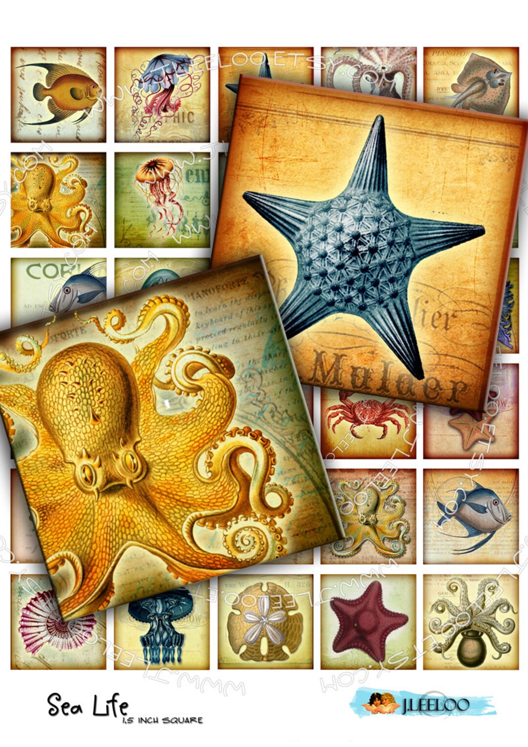 Digital Collage Sheet SEA LIFE 1.5 Inch Square Octopus Jellyfish Fish ...