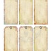 Blank DISTRESSED TAGS Print and Add Your Own Text Editable Writable ...