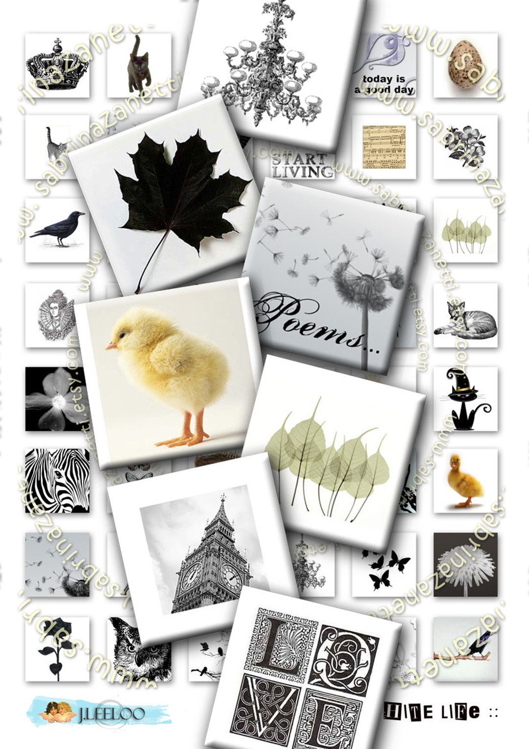 Digital Collage Sheet BLACK and WHITE LIFE 1x1 Square for Pendant ...