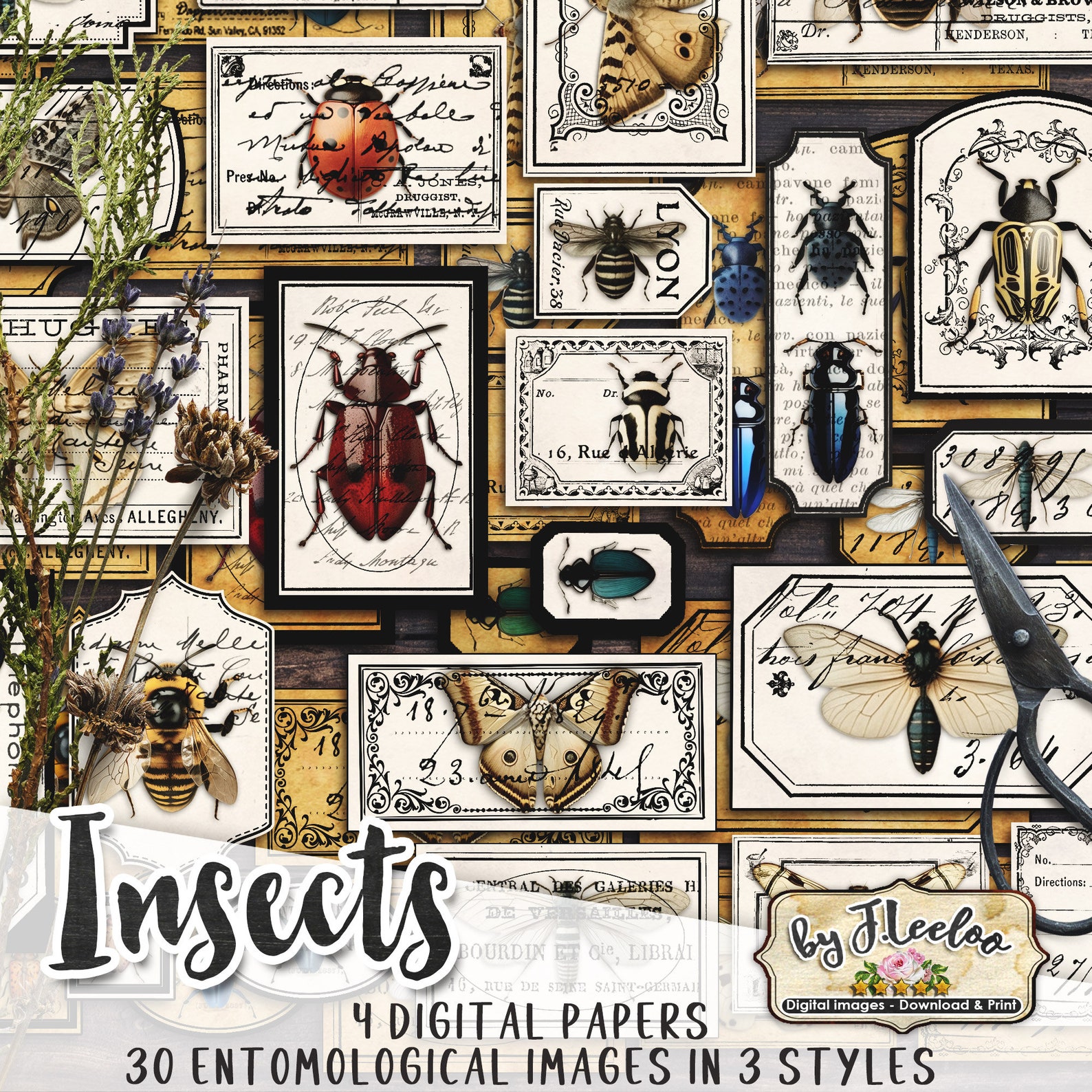 INSECTS Entomology Labels Kit Printable Vintage Ephemera Butterfly ...
