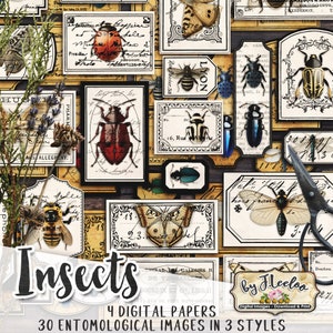 INSECTS Entomology Labels Kit Printable Vintage Ephemera Butterfly ...