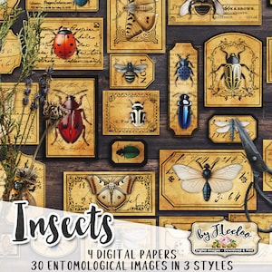 INSECTS Entomology Labels Kit Printable Vintage Ephemera Butterfly ...