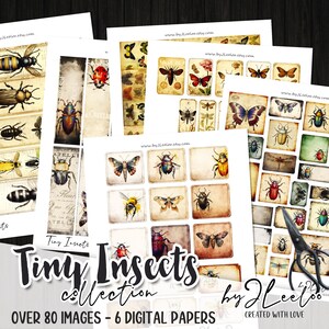 TINY INSECTS Labels Kit Printable Vintage Entomology Butterfly Insect ...