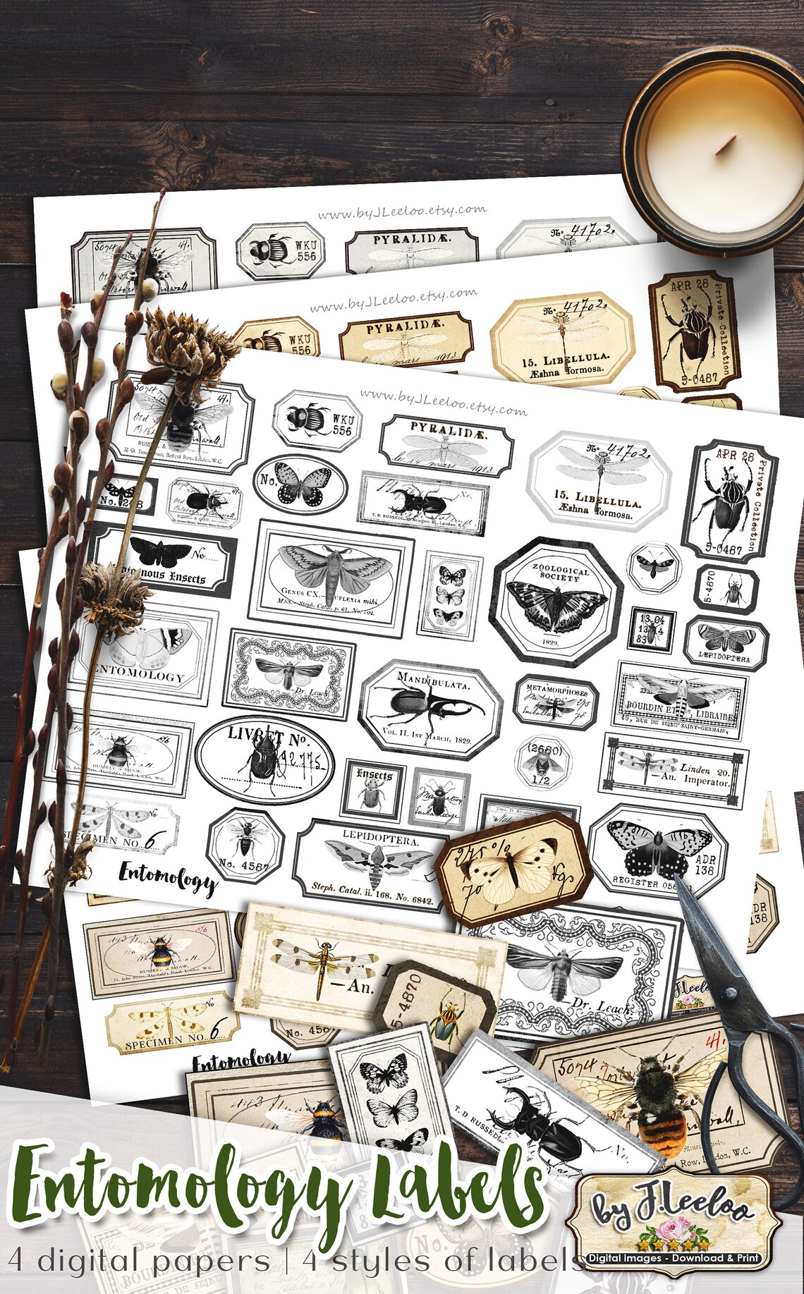 ENTOMOLOGY Labels Kit Printable Vintage Ephemera Butterfly - Etsy Australia