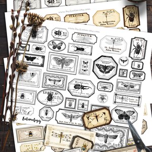 ENTOMOLOGY Labels Kit Printable Vintage Ephemera Butterfly Insect Junk ...