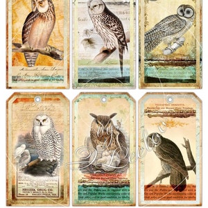 SOMETIMES OWLS Label Tags Jewelry for Animal Lovers Digital Collage ...