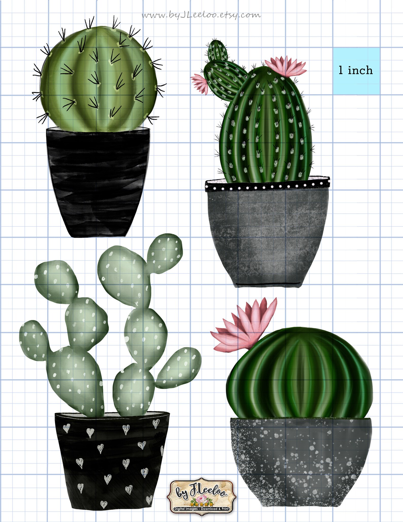CACTI Hand-drawn Png Jpg Files Digital Collage Sheet for - Etsy