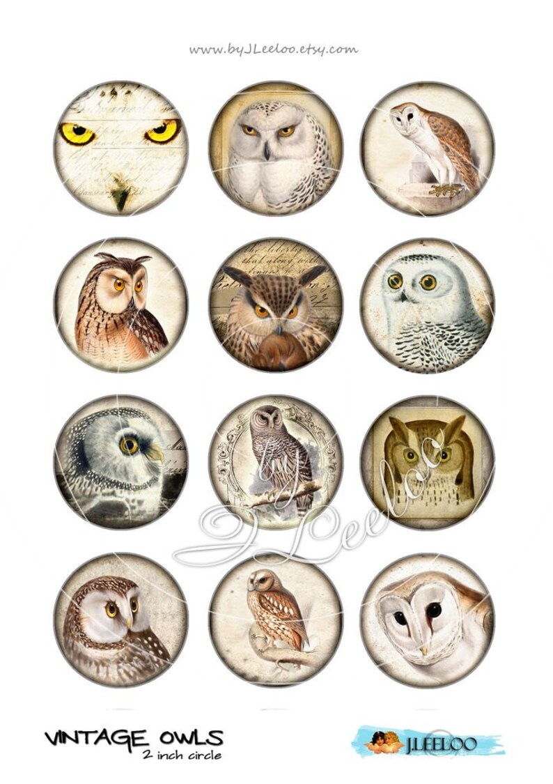 Digital Paper VINTAGE OWL 2 Inch Circle Digital Images Bird - Etsy