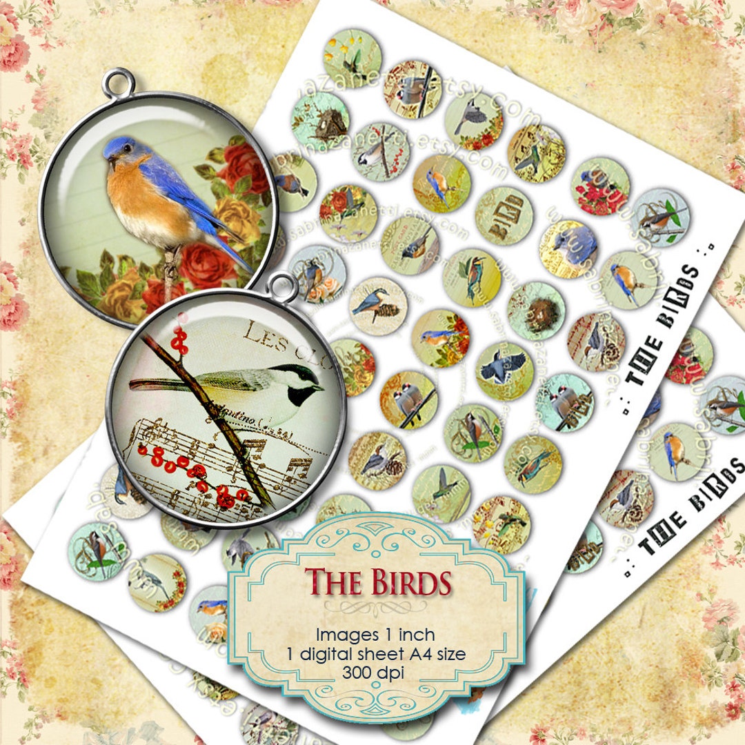 Digital Collage Sheet THE BIRDS 1 Inch Circle Nest Eggs Vintage ...