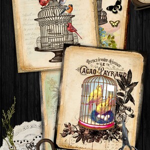 BIRD CAGE Digital Papers 8x10 Inch Large Victorian Vintage Journal Art ...